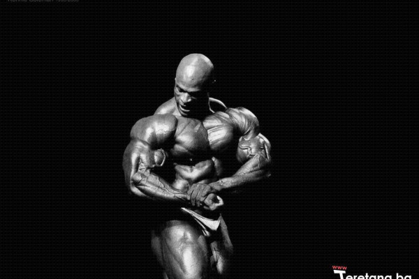 Bodybuilding Girl Wallpapers - Top Free Bodybuilding Girl Backgrounds ...