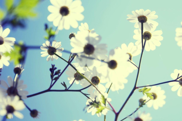 BuzzFeed Desktop Wallpapers - Top Free BuzzFeed Desktop Backgrounds ...