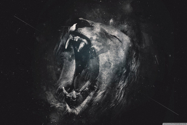 Hardcore Wallpapers - Top Free Hardcore Backgrounds - WallpaperAccess