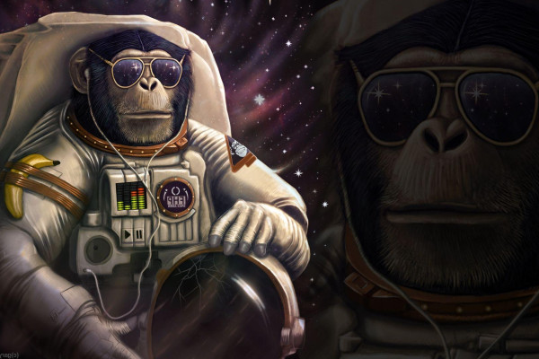 Monkey Phone Wallpapers - Top Free Monkey Phone Backgrounds ...