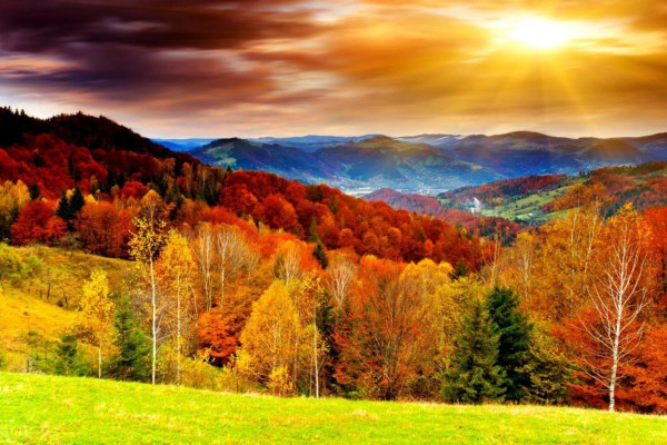 November Fall Wallpapers - Top Free November Fall Backgrounds ...