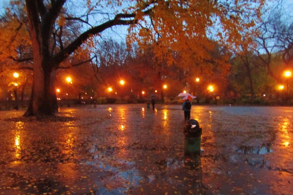 Rainy Forest Wallpapers - Top Free Rainy Forest Backgrounds ...