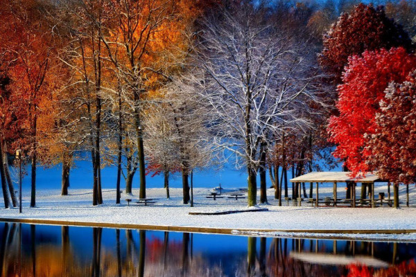 November Fall Wallpapers - Top Free November Fall Backgrounds ...