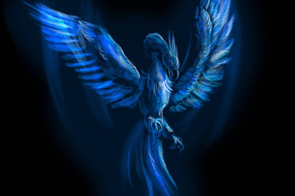 Cool Phoenix Wallpapers - Top Free Cool Phoenix Backgrounds ...