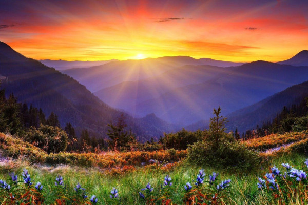 Sunrise Wallpapers - Top Free Sunrise Backgrounds - WallpaperAccess