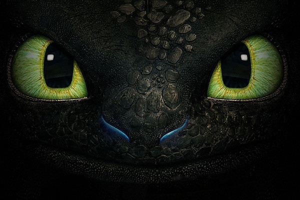 HTTYD Wallpapers - Top Free HTTYD Backgrounds - WallpaperAccess
