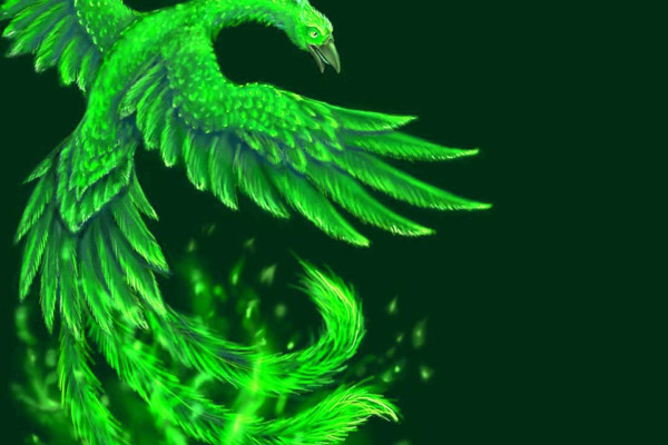 Phoenix Laptop Wallpapers - Top Free Phoenix Laptop Backgrounds ...