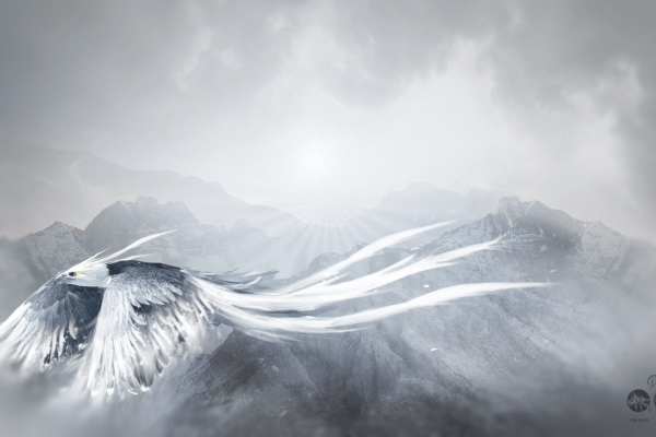 Rainbow Phoenix Wallpapers - Top Free Rainbow Phoenix Backgrounds ...