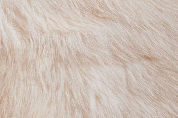 Pink Fur Wallpapers - Top Free Pink Fur Backgrounds - WallpaperAccess