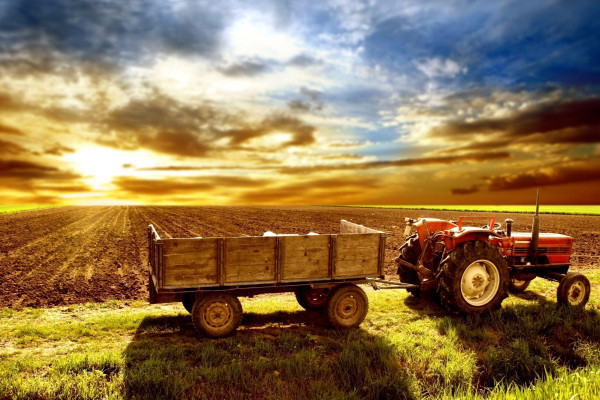 Indian Farmer Wallpapers - Top Free Indian Farmer Backgrounds ...