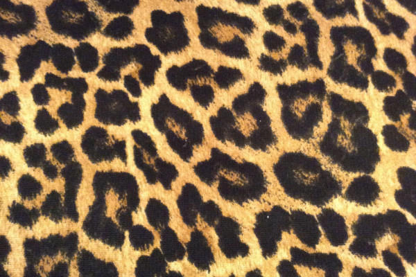 Glitter Leopard Print Wallpapers - Top Free Glitter Leopard Print ...