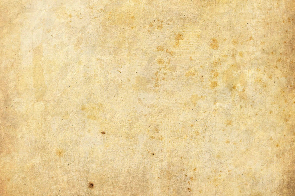 Shutterstock Wallpapers - Top Free Shutterstock Backgrounds ...