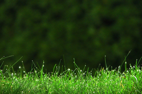 Sustainable Wallpapers - Top Free Sustainable Backgrounds - WallpaperAccess