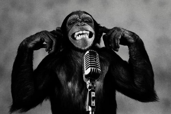 Red Monkey Wallpapers - Top Free Red Monkey Backgrounds - WallpaperAccess