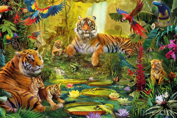 Tropical Rainforest Wallpapers - Top Free Tropical Rainforest ...