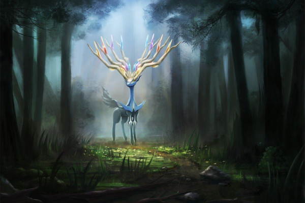 Pokémon Y Wallpapers - Top Free Pokémon Y Backgrounds - WallpaperAccess