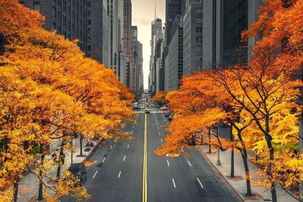 Paris in Autumn Wallpapers - Top Free Paris in Autumn Backgrounds ...