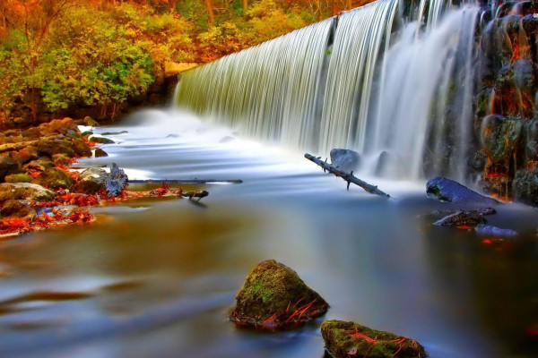 Magnificent Wallpapers - Top Free Magnificent Backgrounds - WallpaperAccess