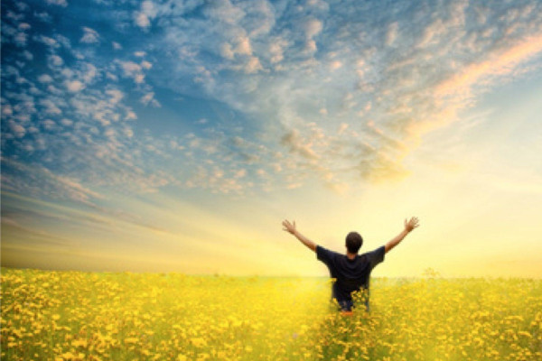 Heal Wallpapers - Top Free Heal Backgrounds - WallpaperAccess