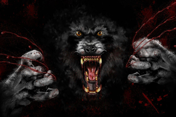 Wolf Desktop Wallpapers - Top Free Wolf Desktop Backgrounds ...