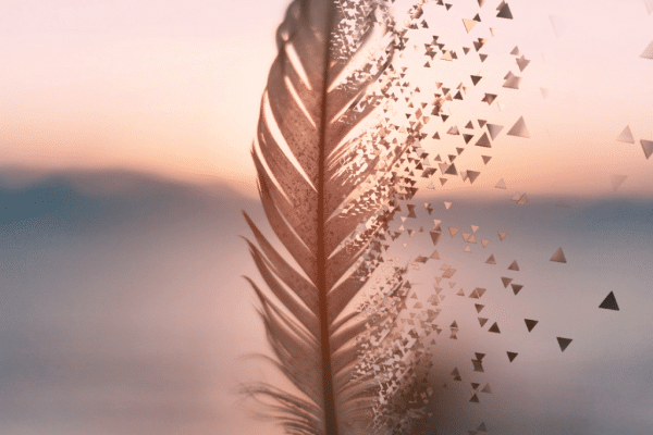 Cool Photography Wallpapers - Top Free Cool Photography Backgrounds ...