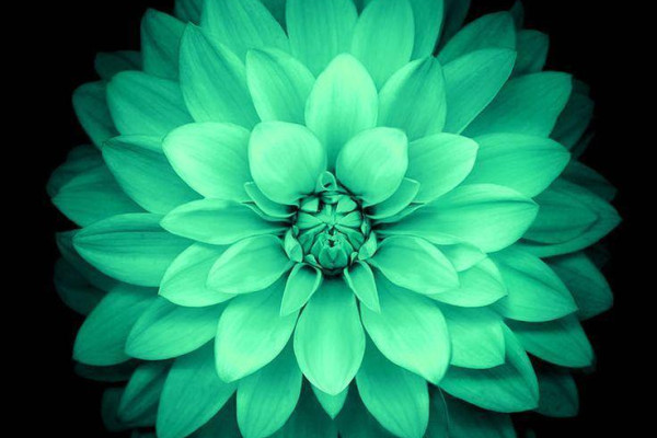 Mint Wallpapers - Top Free Mint Backgrounds - WallpaperAccess