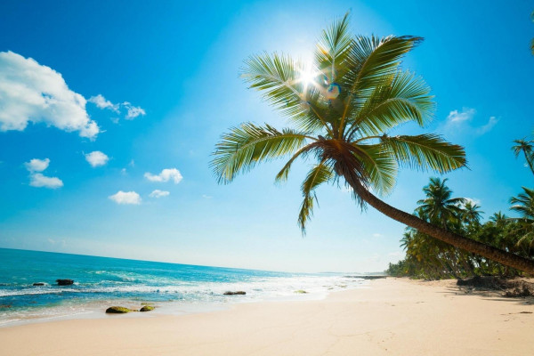 Beach Wallpapers - Top Free Beach Backgrounds - WallpaperAccess