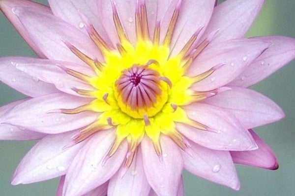 Single Wallpapers - Top Free Single Backgrounds - WallpaperAccess