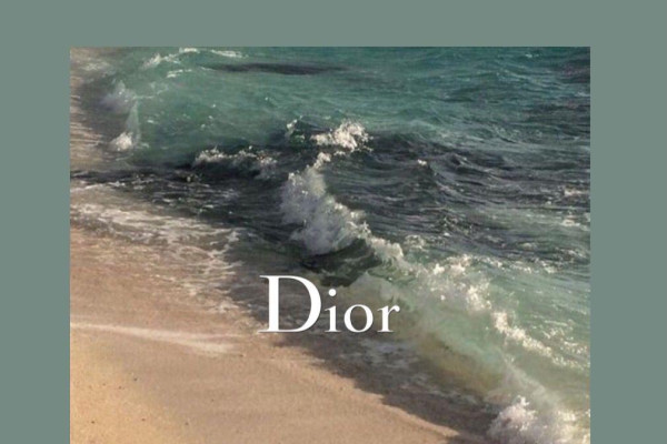 Dior Wallpapers - Top Free Dior Backgrounds - WallpaperAccess