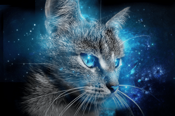 Blue Girl Wallpapers - Top Free Blue Girl Backgrounds - WallpaperAccess