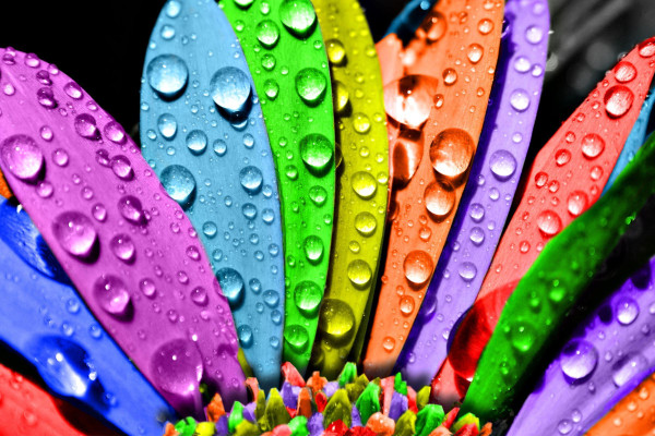 Color Spectrum Wallpapers - Top Free Color Spectrum Backgrounds ...