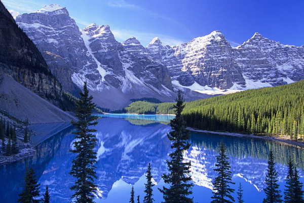 Freedom Wallpapers - Top Free Freedom Backgrounds - WallpaperAccess