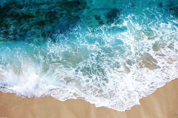 Blue Lemon Wallpapers - Top Free Blue Lemon Backgrounds - WallpaperAccess