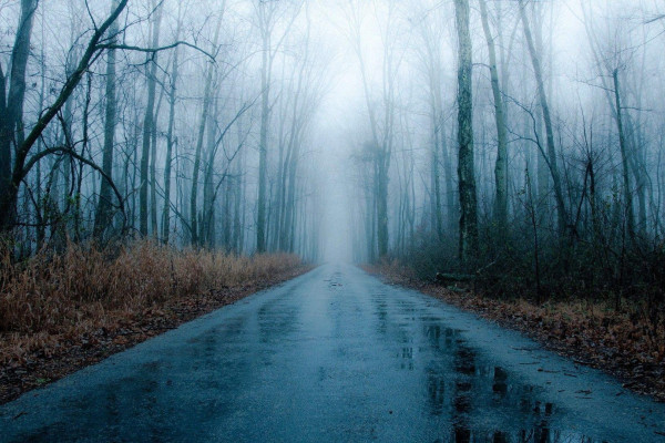 Nature Rain Wallpapers - Top Free Nature Rain Backgrounds - WallpaperAccess