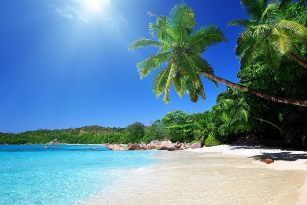 Tropical Paradise Desktop Wallpapers - Top Free Tropical Paradise ...
