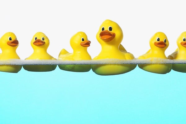 B.Duck Wallpapers - Top Free B.Duck Backgrounds - WallpaperAccess