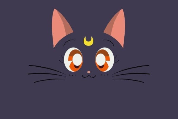 Moon Cat Wallpapers - Top Free Moon Cat Backgrounds - WallpaperAccess