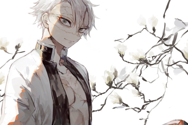 Gyomei Wallpapers - Top Free Gyomei Backgrounds - WallpaperAccess