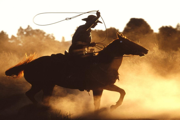Western Horse Desktop Wallpapers - Top Free Western Horse Desktop ...