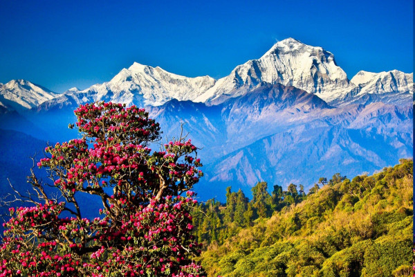 Nepal Landscape Wallpapers - Top Free Nepal Landscape Backgrounds ...