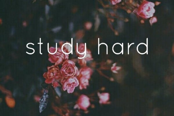 Study Motivation Wallpapers - Top Free Study Motivation Backgrounds ...