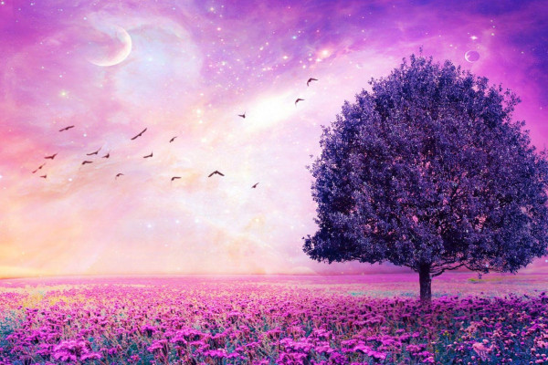 Cute Pink Purple Wallpapers - Top Free Cute Pink Purple Backgrounds ...
