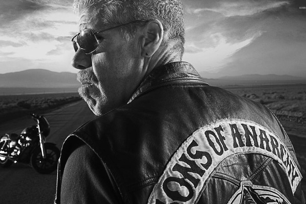 New SOA Skull Wallpapers - Top Free New SOA Skull Backgrounds ...