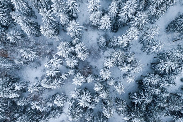 iPad 5 Wallpapers - Top Free iPad 5 Backgrounds - WallpaperAccess