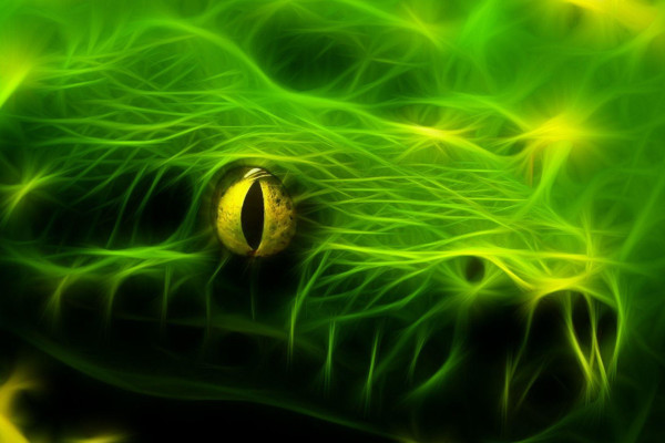 Purple Snake Wallpapers - Top Free Purple Snake Backgrounds ...