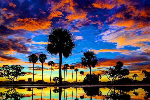 Cool Florida Wallpapers - Top Free Cool Florida Backgrounds ...