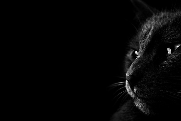 Black Windows Desktop Wallpapers - Top Free Black Windows Desktop ...