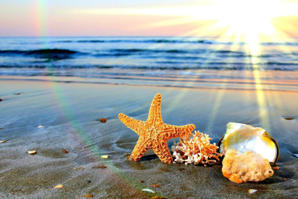 Summer Fun Wallpapers - Top Free Summer Fun Backgrounds - WallpaperAccess