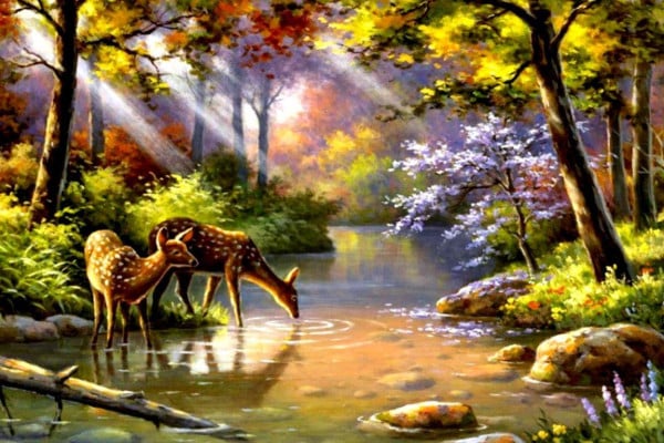 March Nature Wallpapers - Top Free March Nature Backgrounds ...