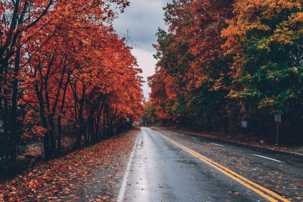 Fall Road Wallpapers - Top Free Fall Road Backgrounds - WallpaperAccess